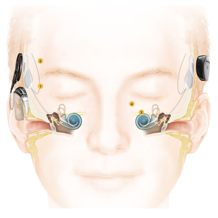 Wickramarachchi Opticians Sri Lanka Shop